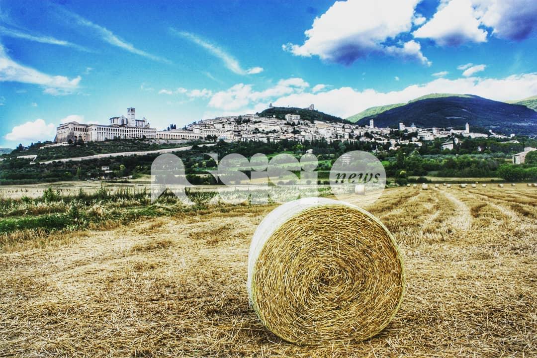 Fare politica ad Assisi: il problema è chi parla troppo o chi risponde ...