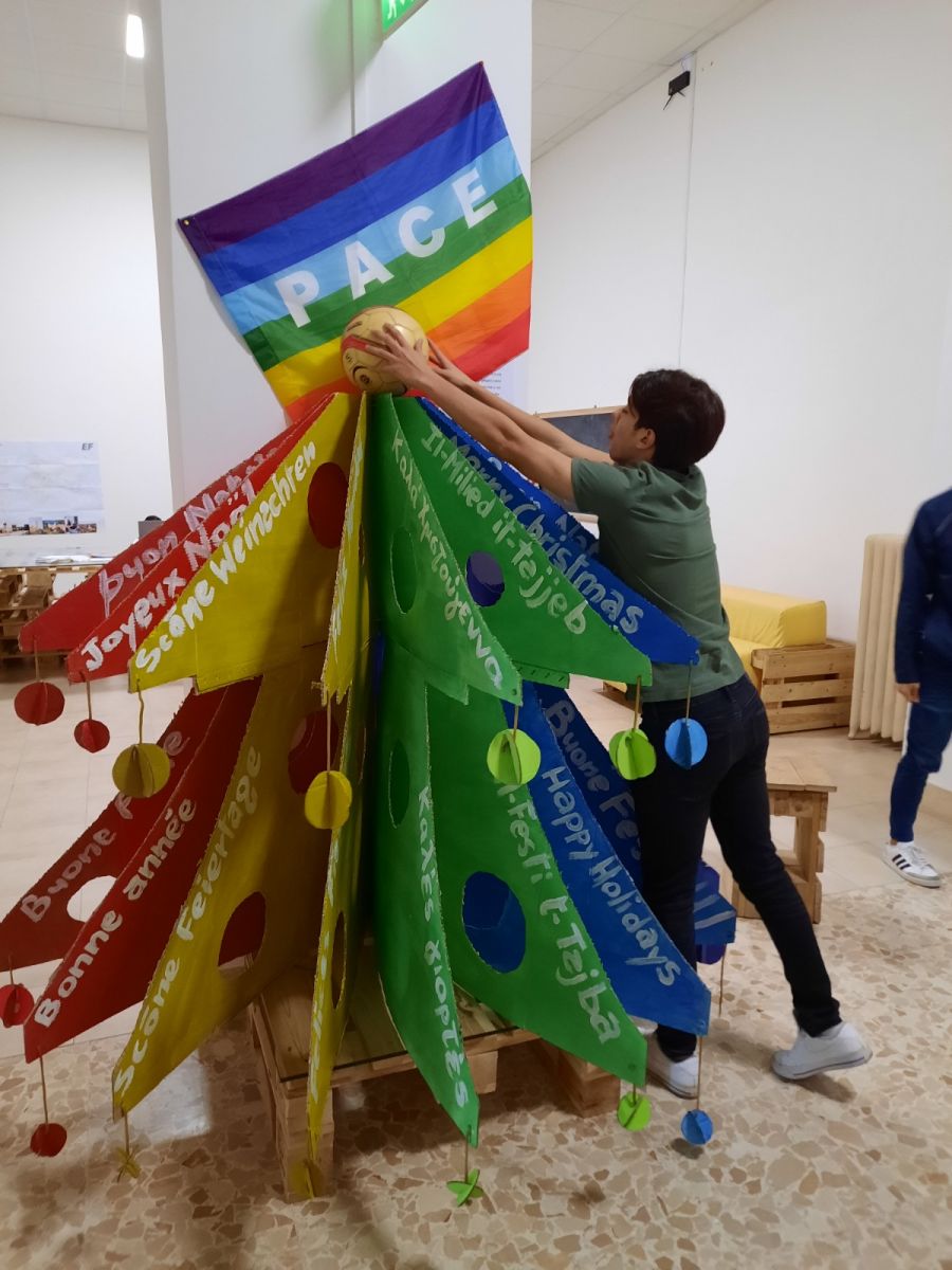 Tree of Nations, il Convitto crea l'Albero delle Nazioni (foto ...