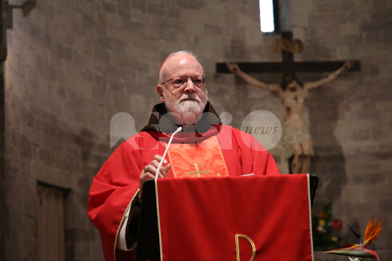 Cardinale Sean O'Malley: “Qui i fedeli, con Francesco e Carlo si ...