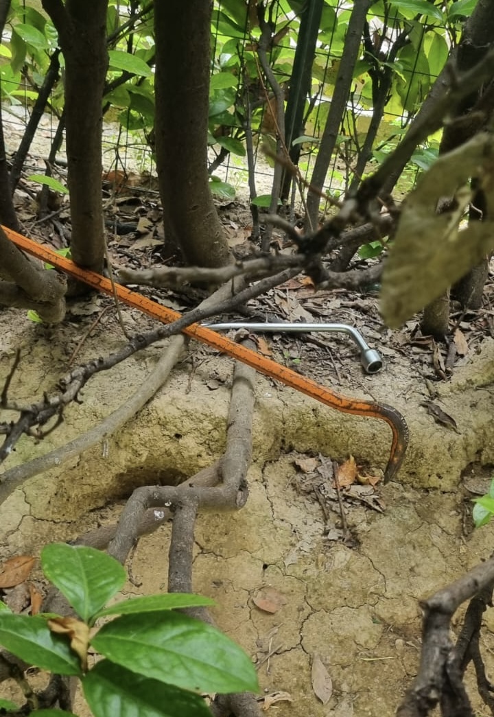 Furto fallito nella notte al Bar Portali di Santa Maria degli Angeli: è ...