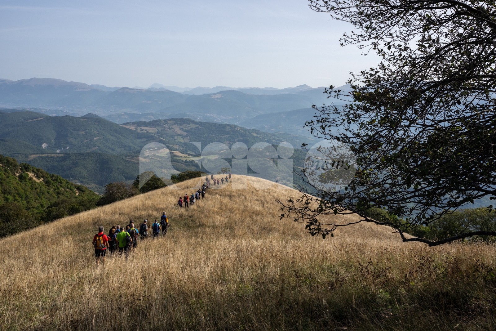 Alla scoperta del monte Subasio, ad Assisi 30 eventi gratuiti da giugno ...