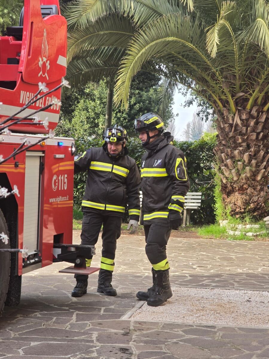 Birba di nome e... di fatto: gatto salvato in cima a un cedro a ...