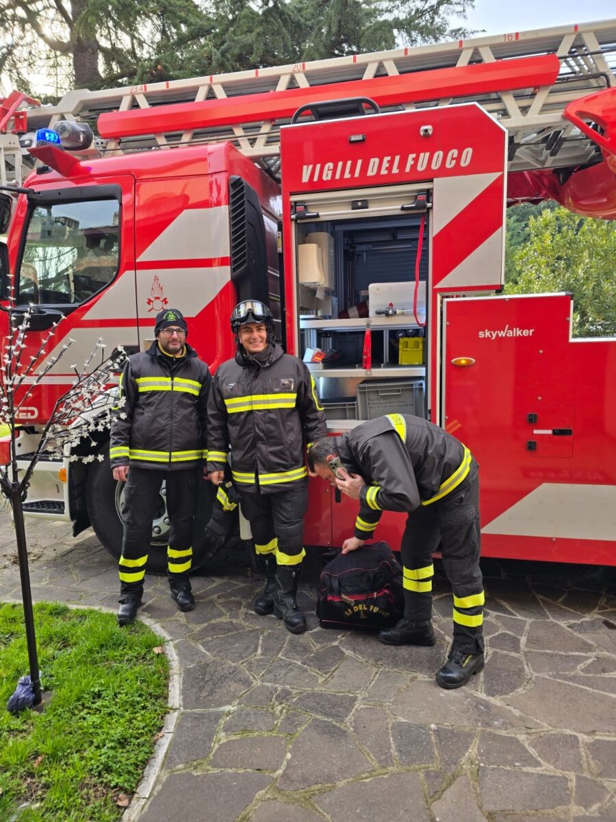 Birba di nome e... di fatto: gatto salvato in cima a un cedro a ...